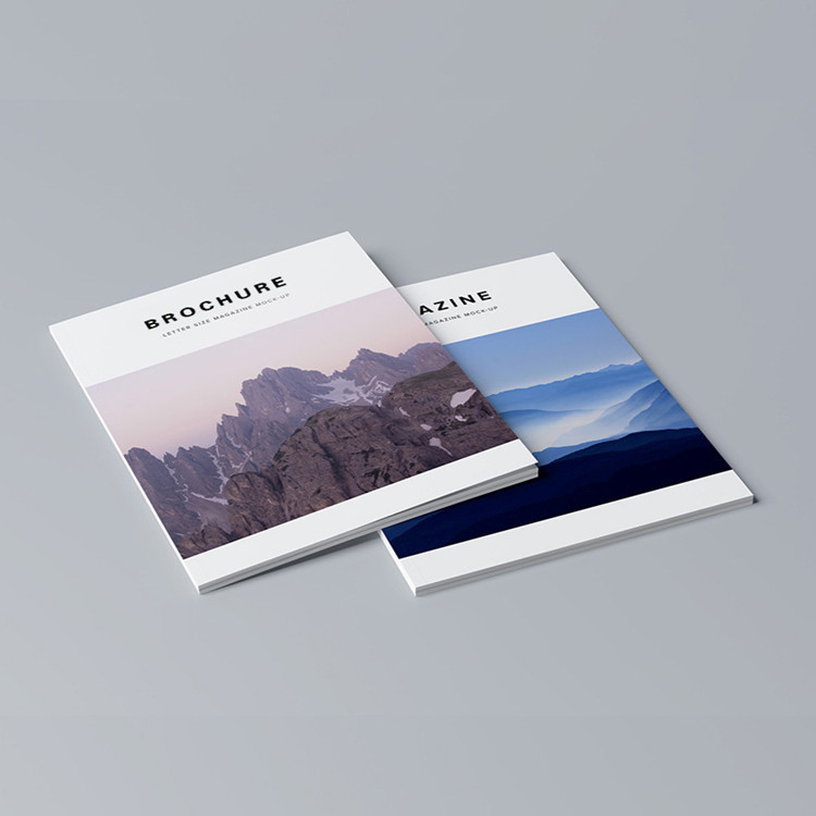 Luxury Full Color Brochures , Printing Advertising Flyers Book FDA ...